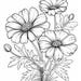 230 Wild Flower Coloring Pages | Printable Floral Coloring Book for ...