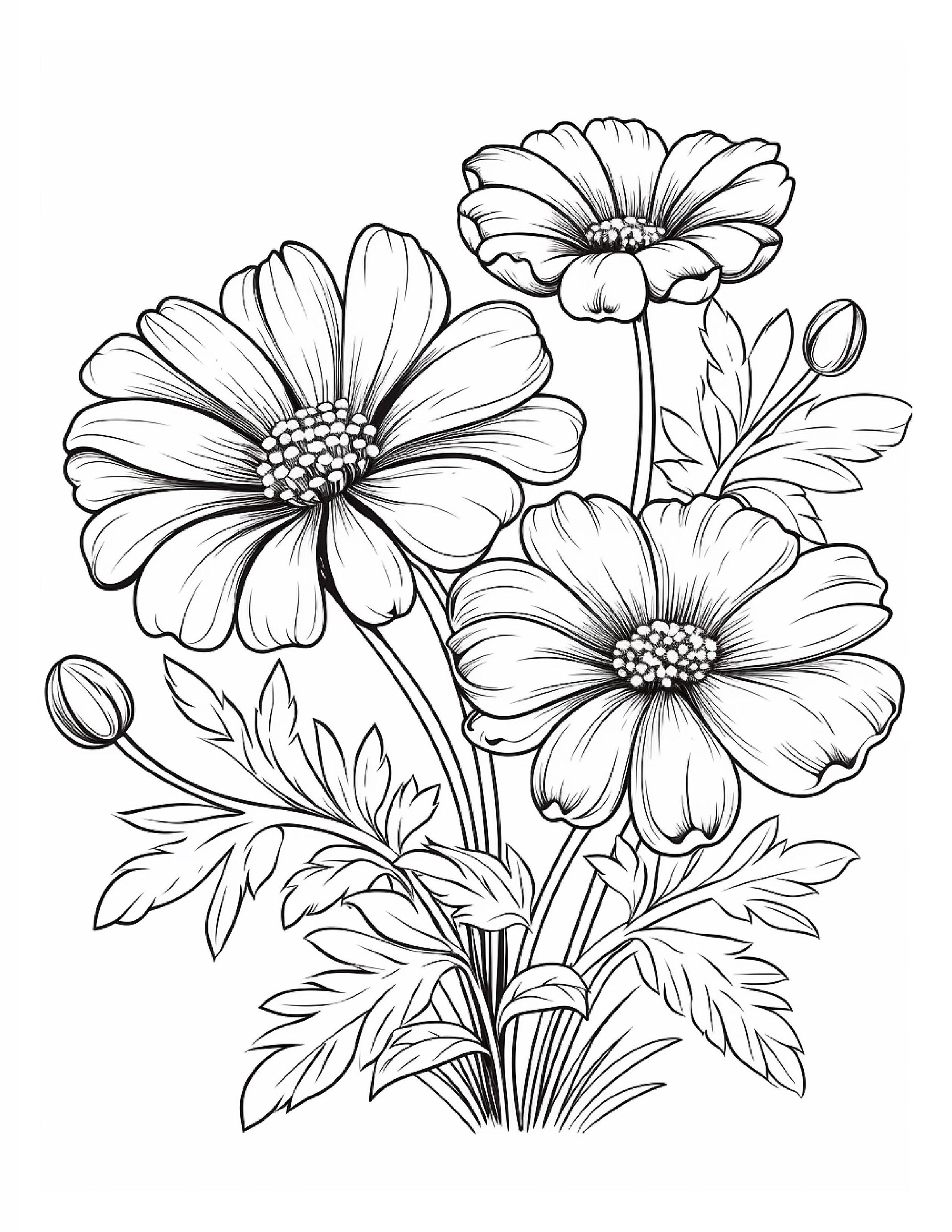 230 Wild Flowers Coloring Pages, Coloring Book, Adult Coloring Book, Kids Coloring Book, Kid ...