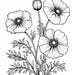 230 Wild Flower Coloring Pages | Printable Floral Coloring Book for ...