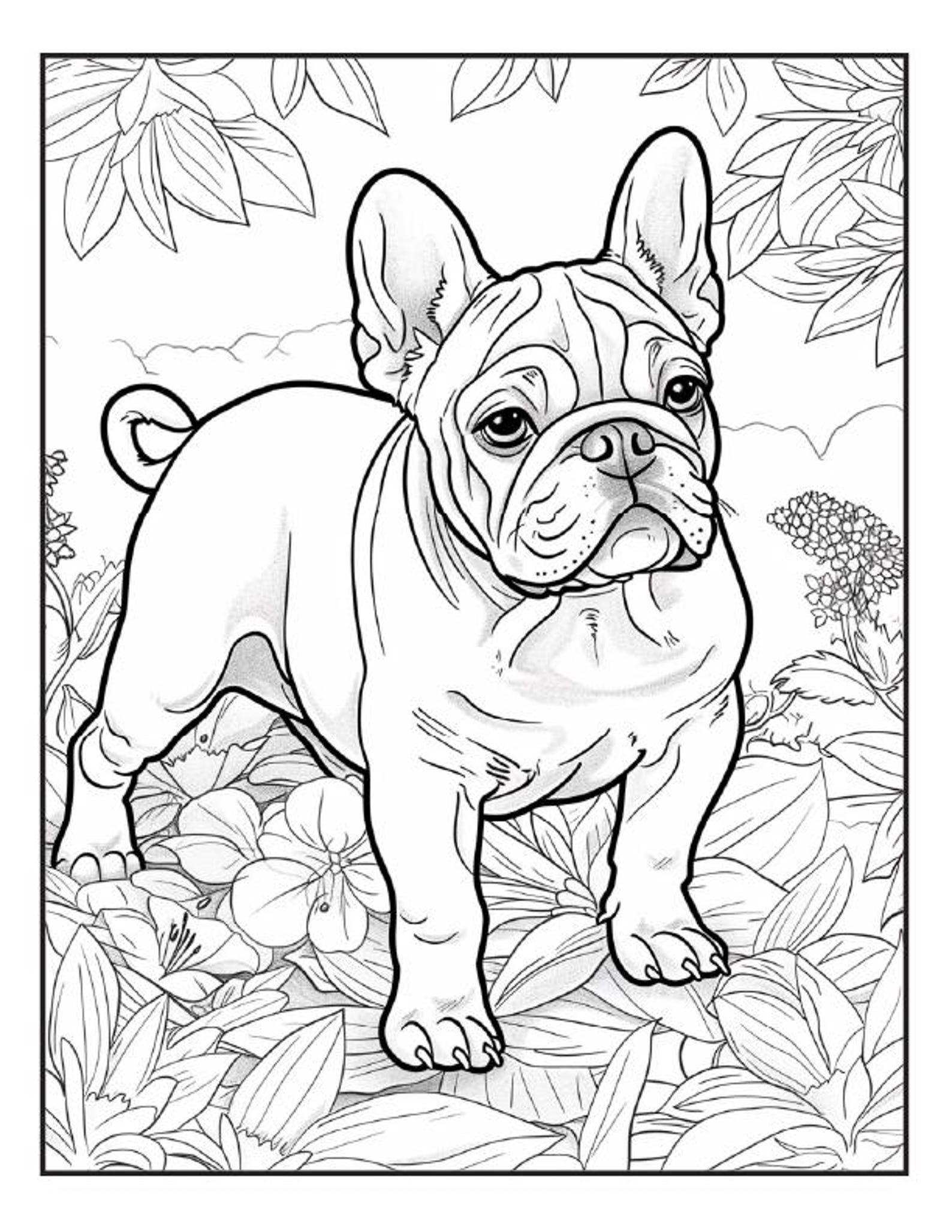 100 Bulldog Coloring Pages, Coloring Book, Adult Coloring Book, Kids ...