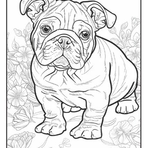 100 Bulldog Coloring Pages, Coloring Book, Adult Coloring Book, Kids ...
