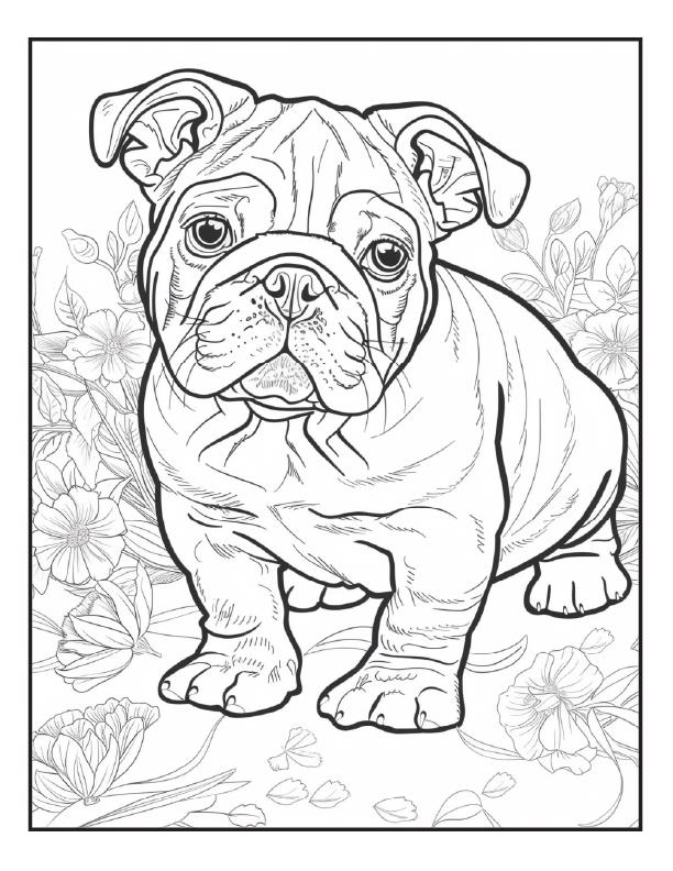 100 Bulldog Coloring Pages, Coloring Book, Adult Coloring Book, Kids ...