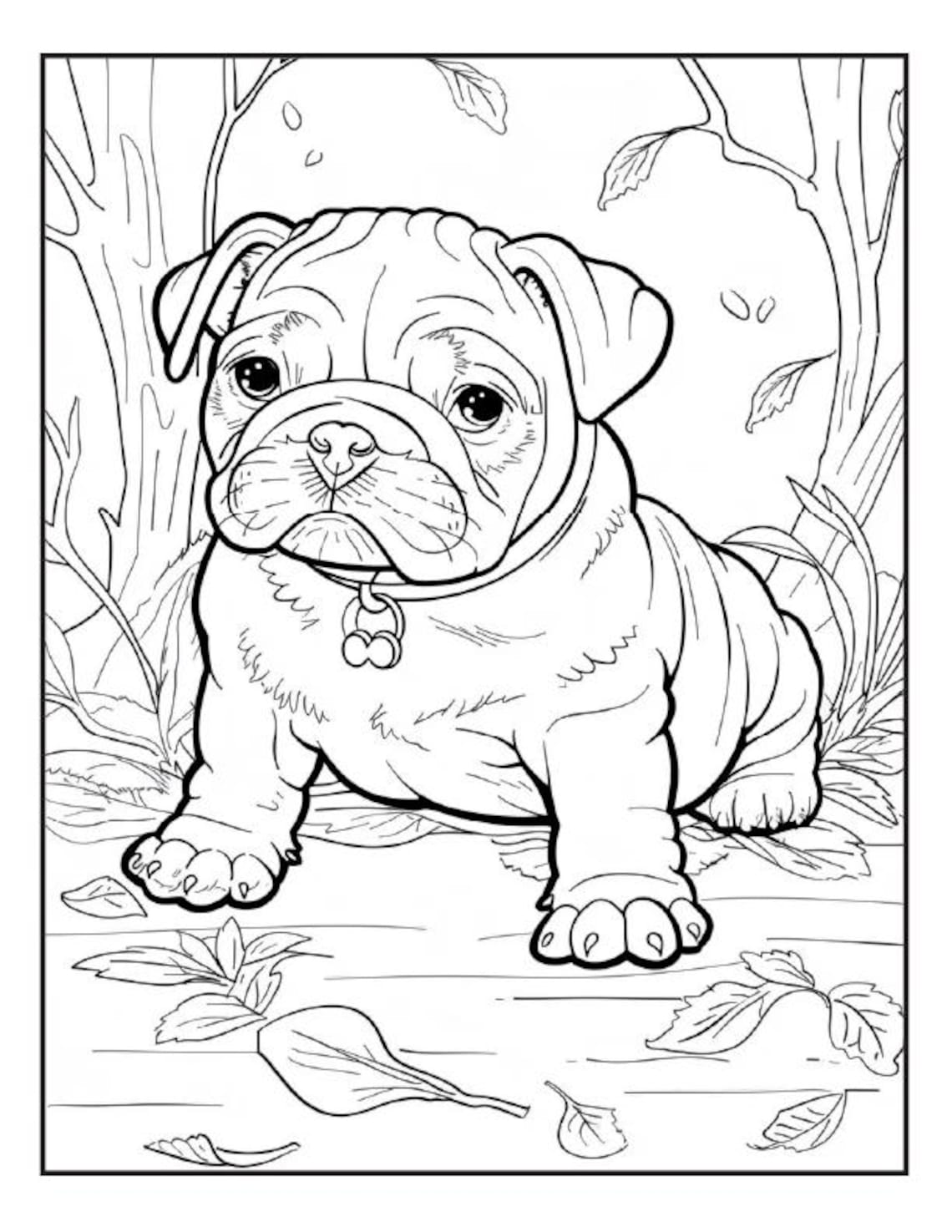 100 Bulldog Coloring Pages, Coloring Book, Adult Coloring Book, Kids ...
