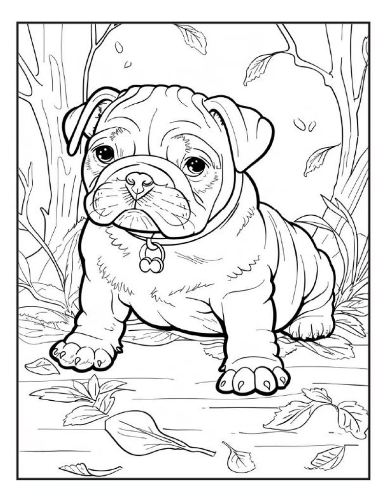 100 Bulldog Coloring Pages, Coloring Book, Adult Coloring Book, Kids ...