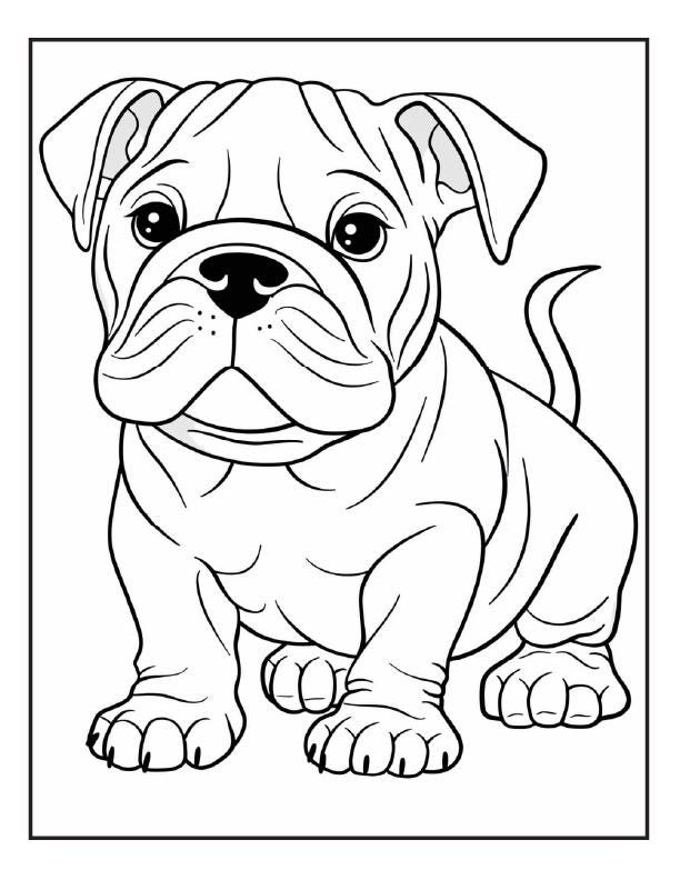 100 Bulldog Coloring Pages, Coloring Book, Adult Coloring Book, Kids ...