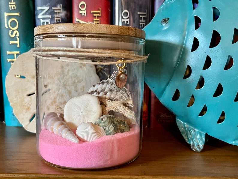 Beach in a Jar/large Jar/pink Sand/sand Dollar/shells/interactive ...