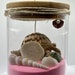Beach in a Jar/large Jar/pink Sand/sand Dollar/shells/interactive ...