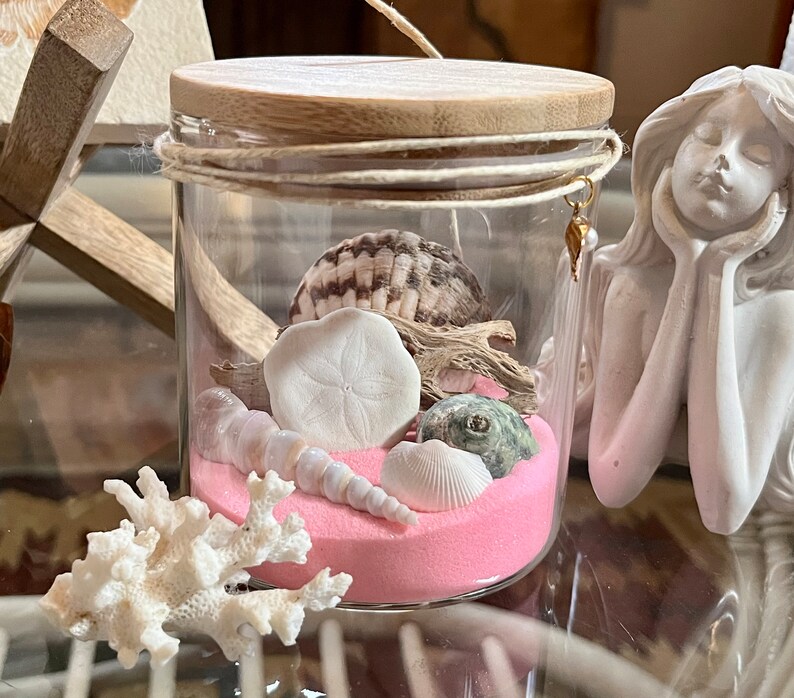 Beach in a Jar/large Jar/pink Sand/sand Dollar/shells/interactive ...