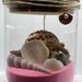 Beach in a Jar/large Jar/pink Sand/sand Dollar/shells/interactive ...