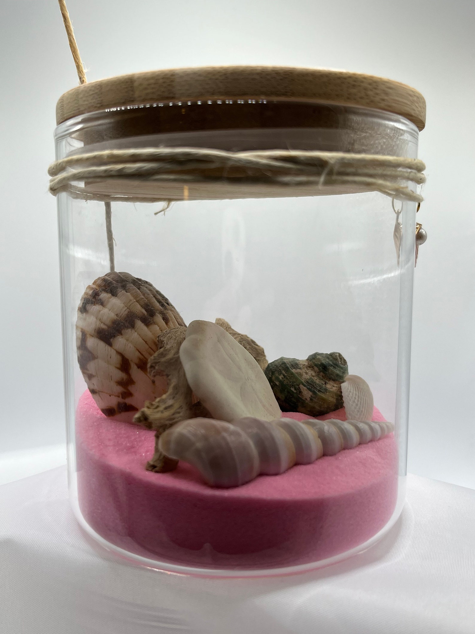 Beach in a Jar/large Jar/pink Sand/sand Dollar/shells/interactive ...
