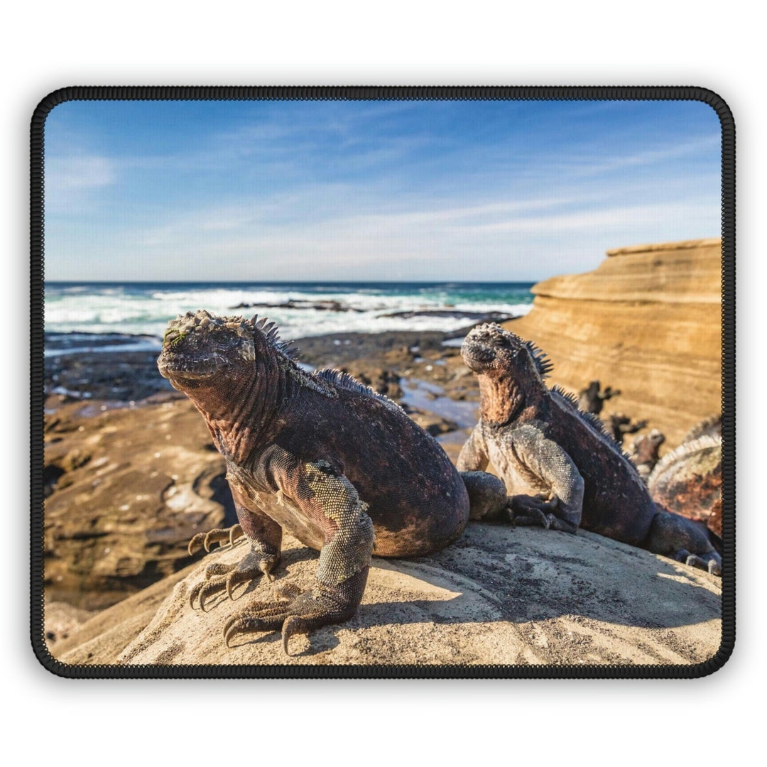 Mouse Pad - Galapagos Marine Iguana, Iguana Gaming Mouse Pad Gift ...