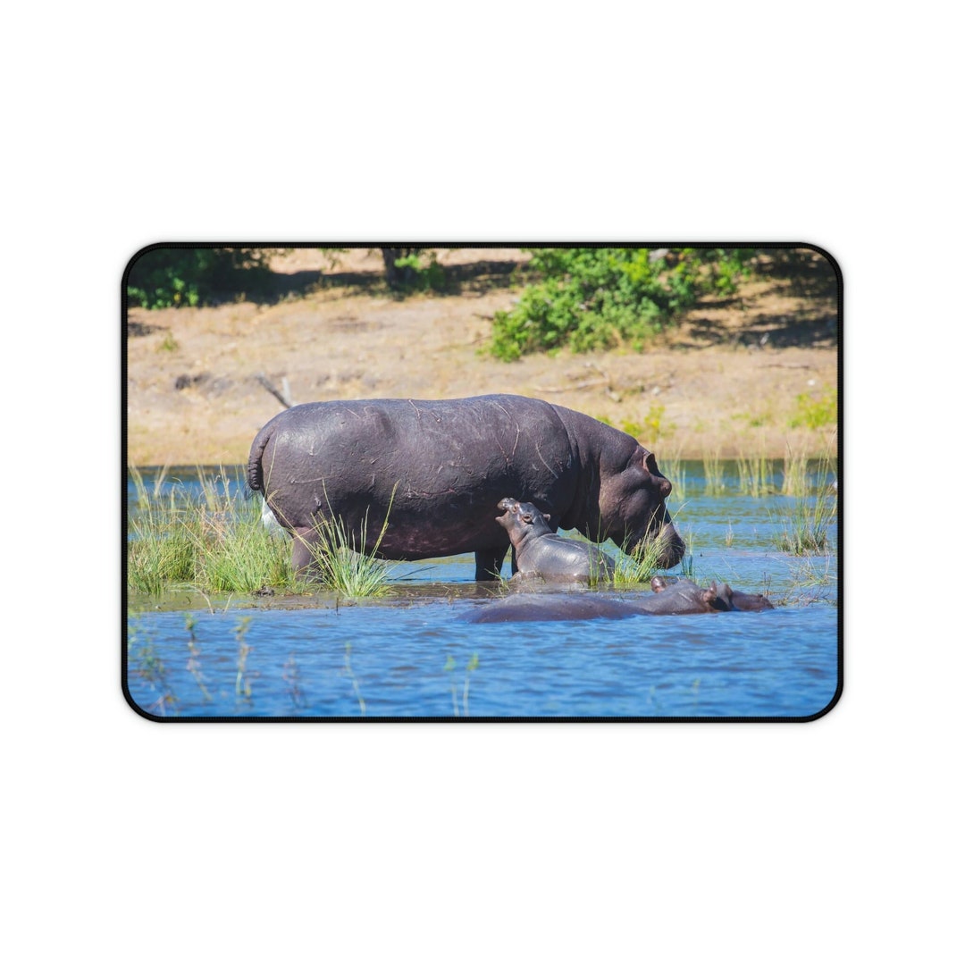Desk Mat - Hippos in Chobe National Park, Botswana, Hippo Desk Mat ...