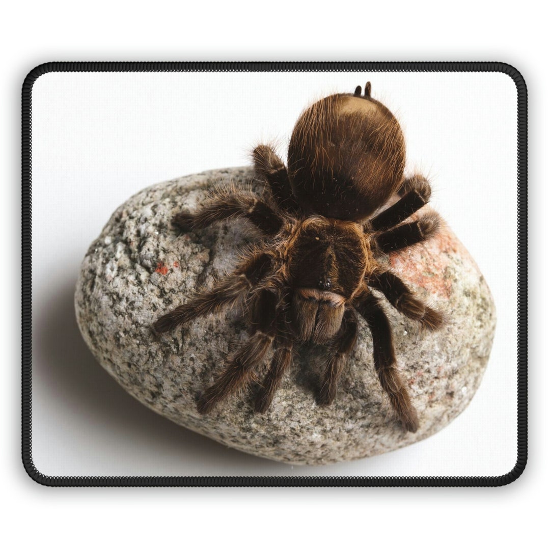 Tarantula Mouse Pad, Hairy Spider Mouse Pad, Spider Pet Mouse Pad ...