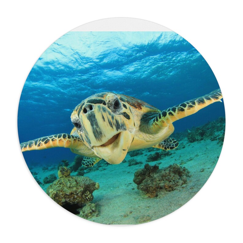 Mouse Pad -hawksbill Turtle Underwater, Turtle Mousepad, Mousepad Gift ...