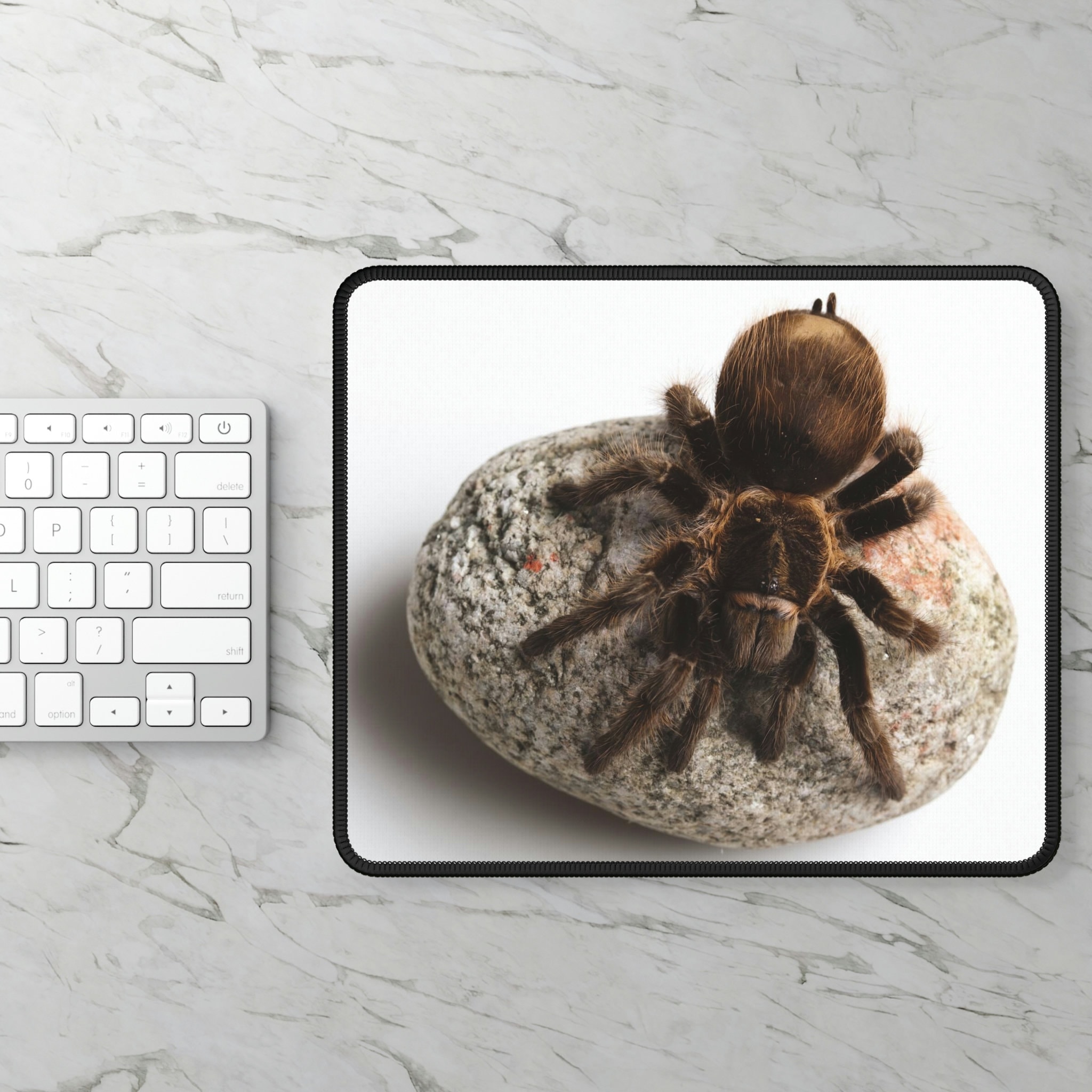 Tarantula Mouse Pad, Hairy Spider Mouse Pad, Spider Pet Mouse Pad ...