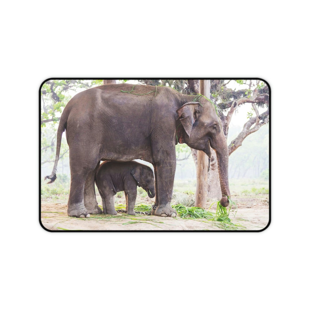 Desk Mat - Elephant Family in Chitvan National Park, Nepal, Elephants, Elephant Photo, Gift for ...