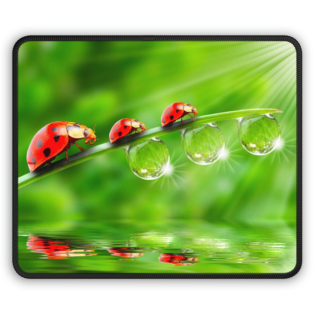 Ladybugs Mouse Pad, Lady Beetle Mouse Pad, Nature Gift, Good Fortune ...