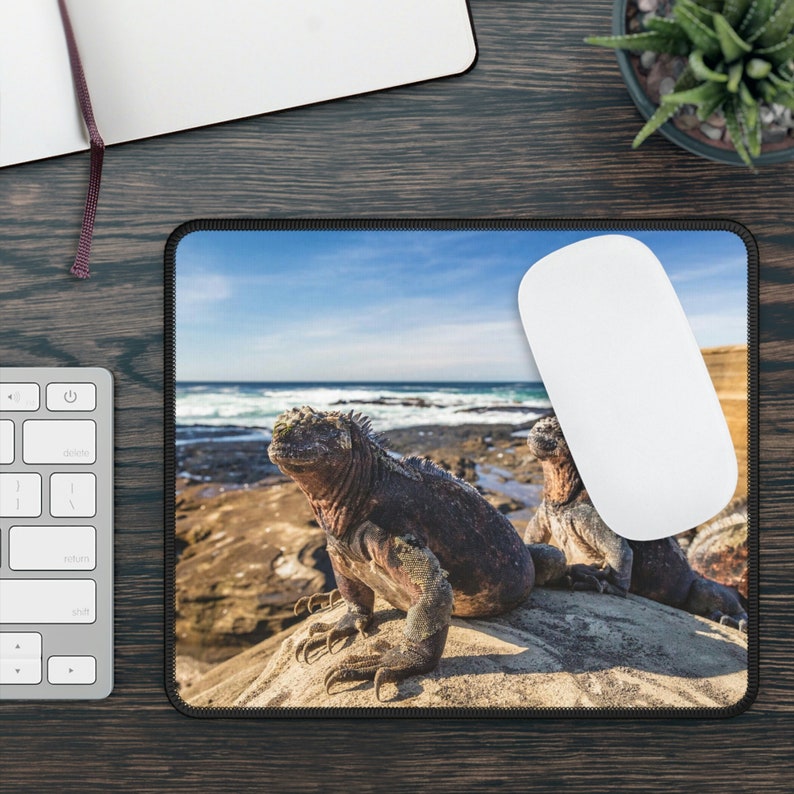 Mouse Pad - Galapagos Marine Iguana, Iguana Gaming Mouse Pad Gift ...