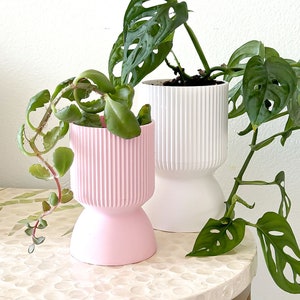 Ribbed Aesthetic Minimalist Plant Pot - Cute Planter for Gardening ...
