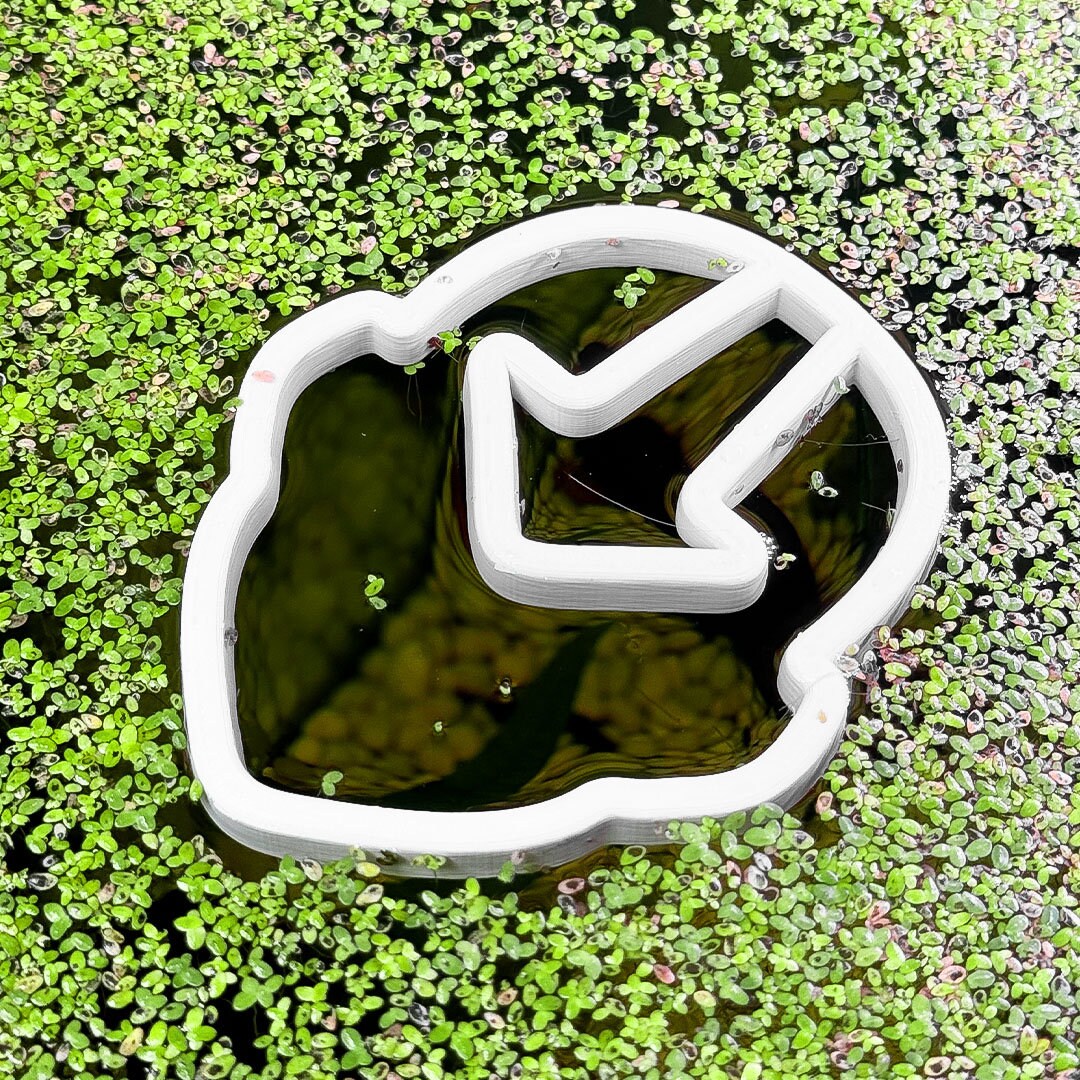 Fish Feeding Portal aang Avatar the Last Airbender ALGAE-RESISTANT Beta ...