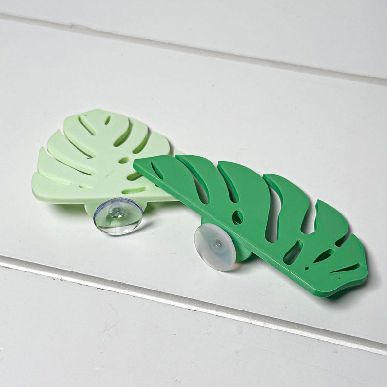 Monstera Leaf Betta Perch / Hammock Betta and Blenny Decor & Enrichment ...