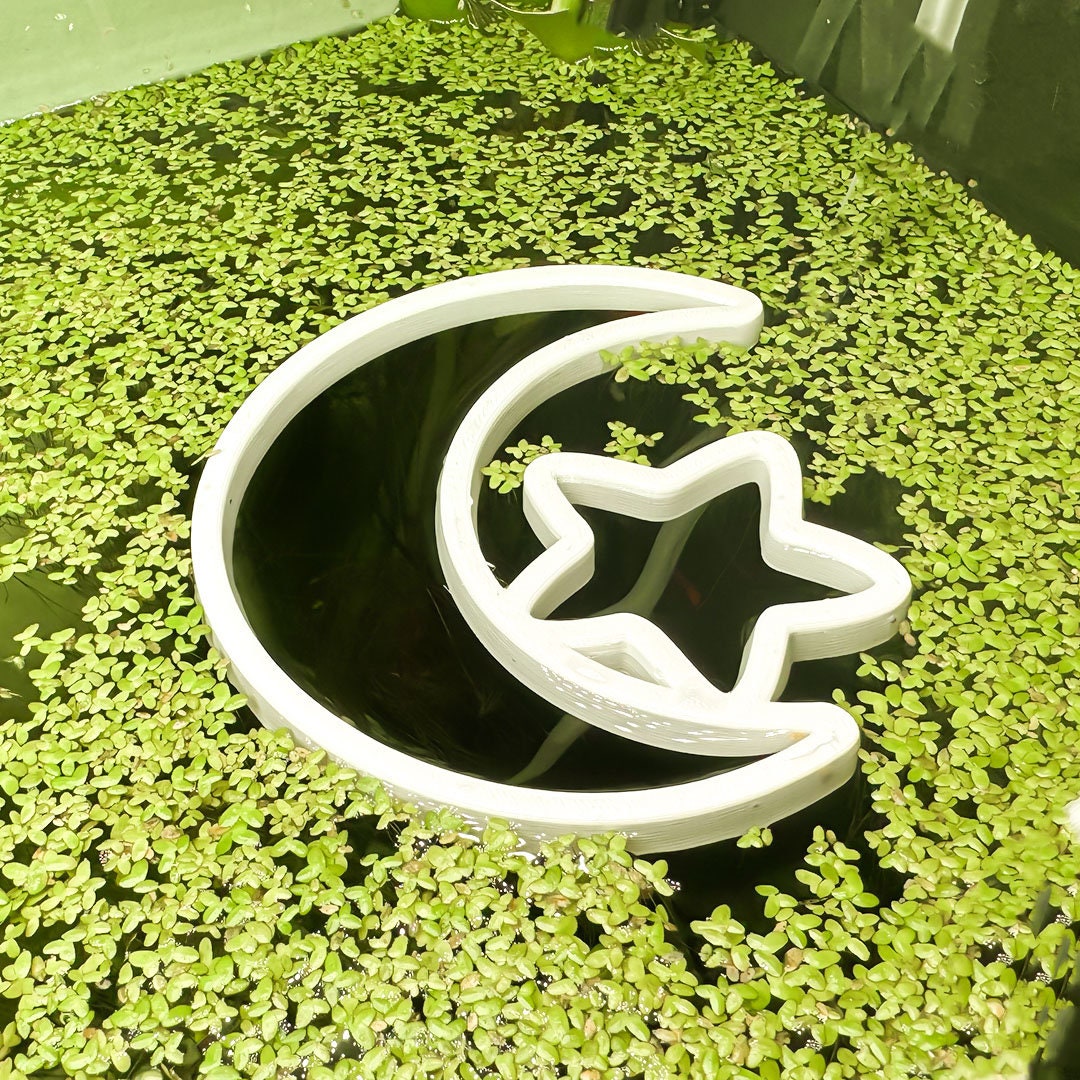 Fish Feeding Portal (moon) | No Sink Guarantee | Beta Training, Food ...