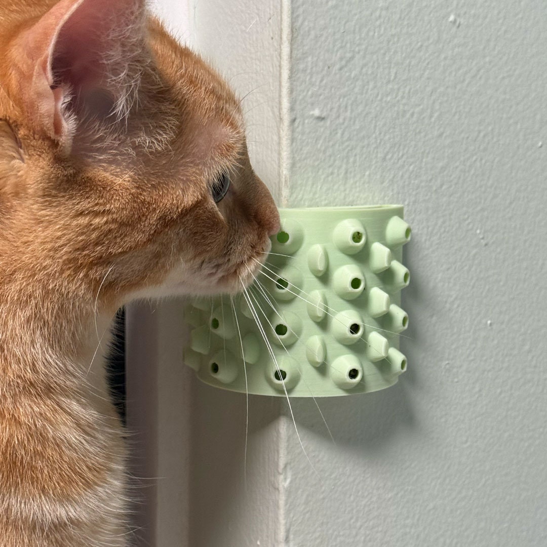 Purrmount Catnip Scratching Toy Wall Corner Mount Scratching Toy for ...