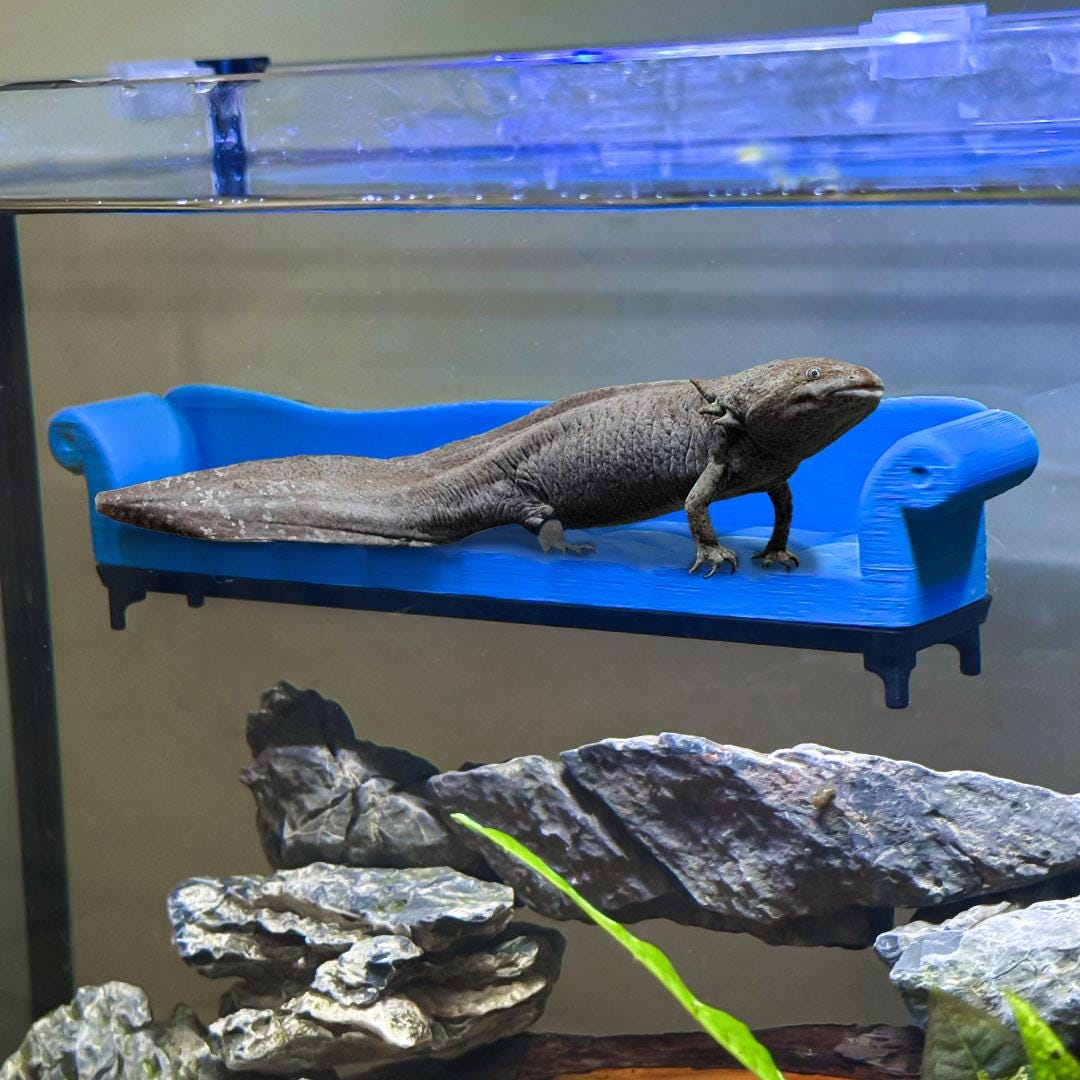 Couch Perch / Hammock for Axolotl / Blenny / Betta Decor & Enrichment ...