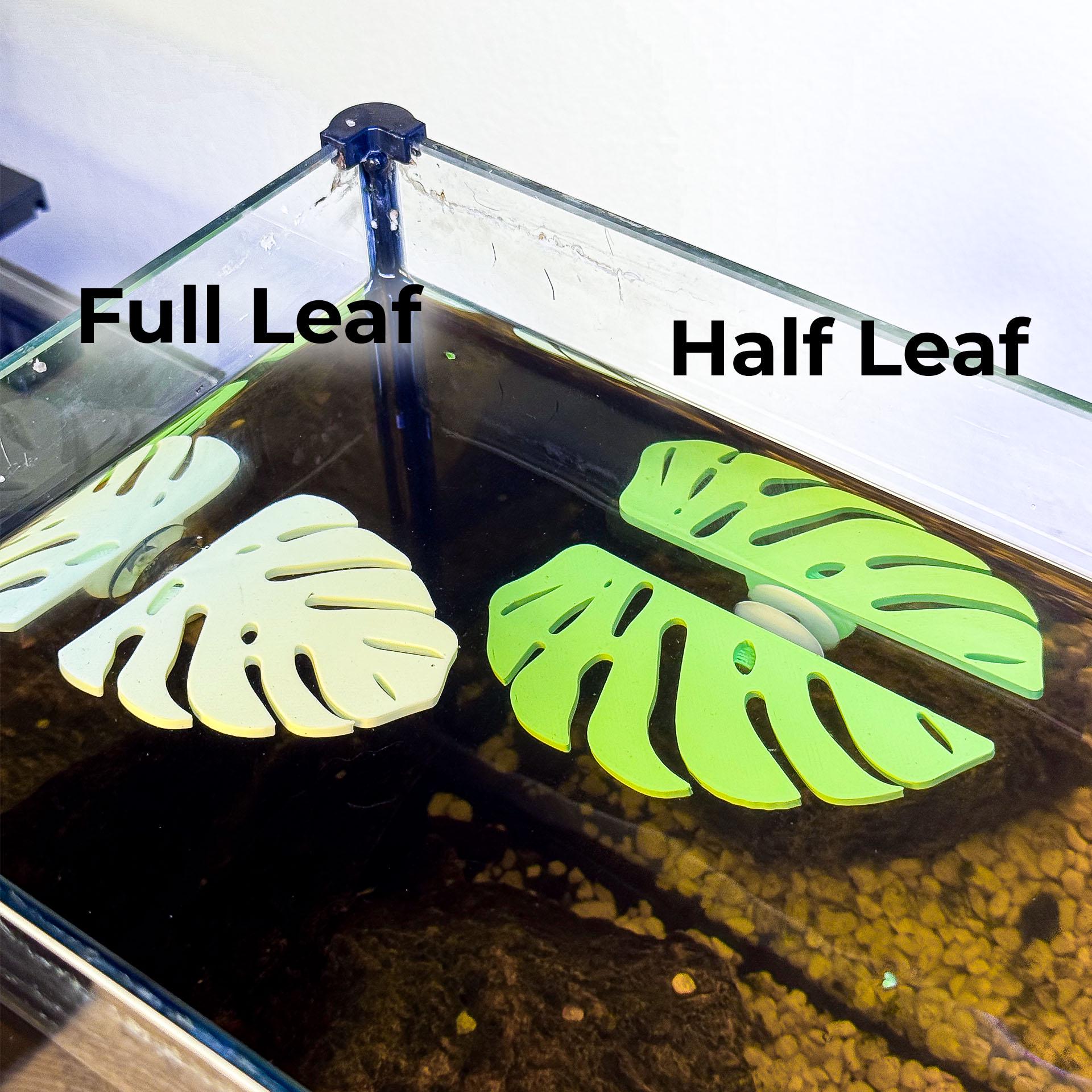 Monstera Leaf Betta Perch / Hammock Betta and Blenny Decor & Enrichment ...