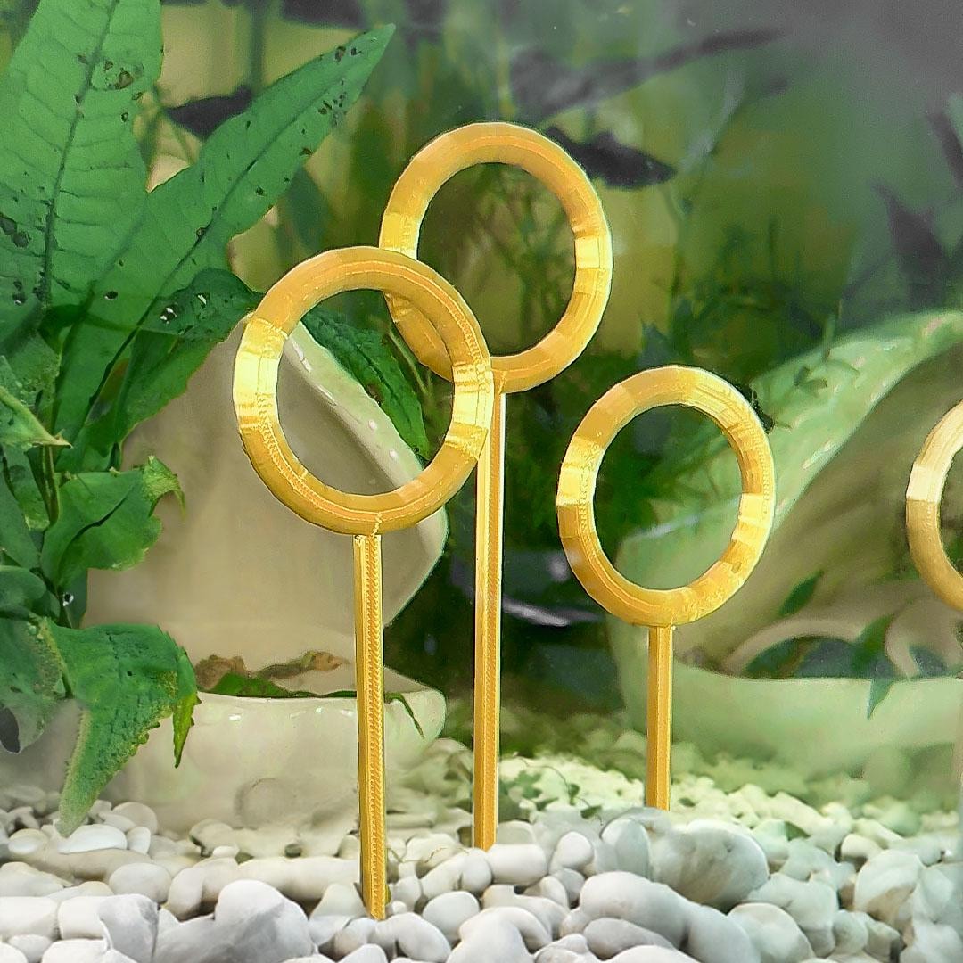 Tri-hoops Tank Betta Decor & Enrichment | Quadball Goal | ALGAE ...