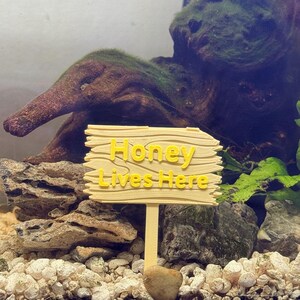 Personalized Wooden Forest Sign for Fishtanks, Aquariums, Reptiles ...