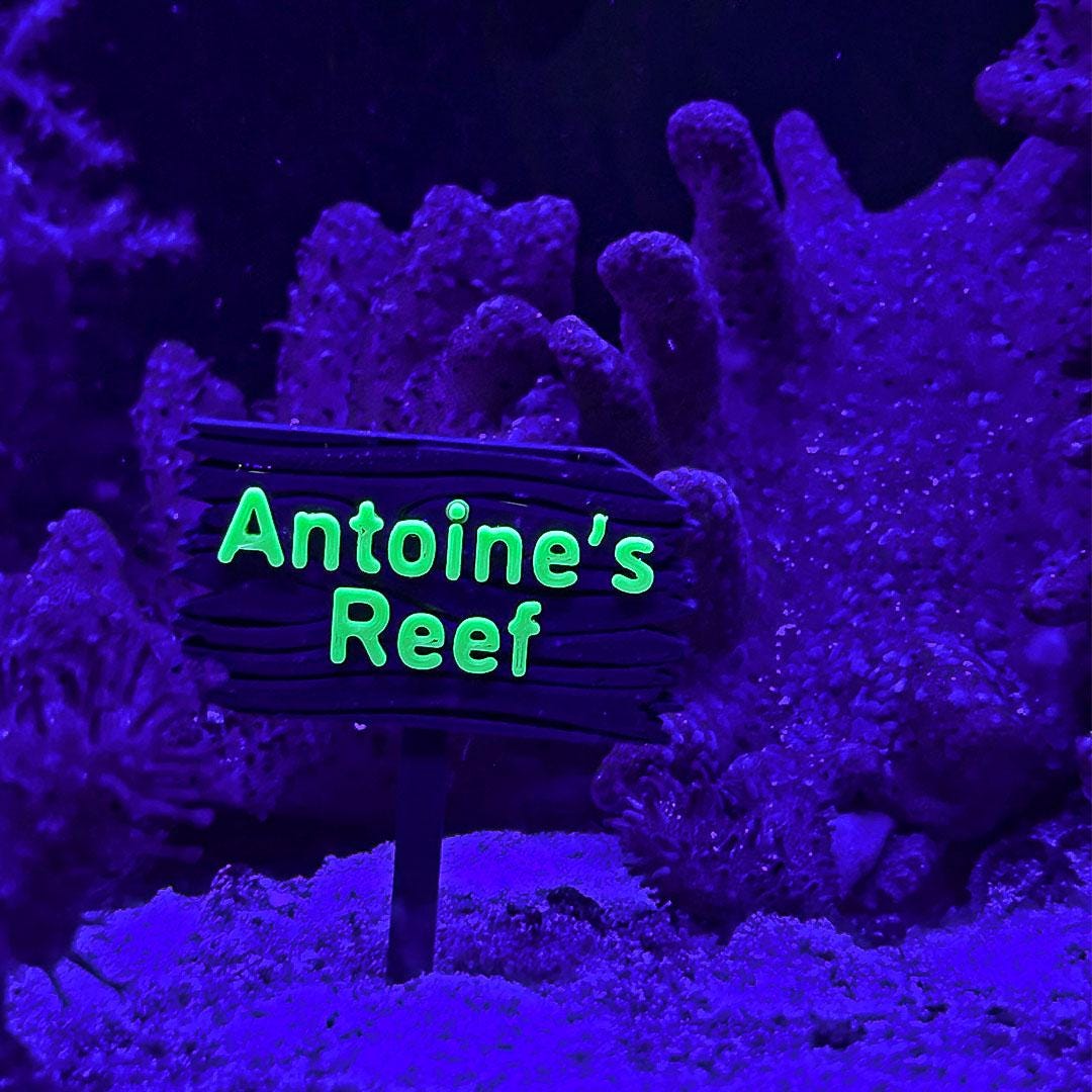 Personalized UV Reactive Wooden Sign for Reef Tanks Fishtanks ...