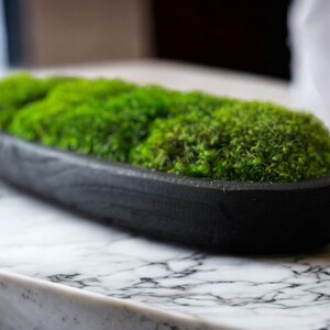 Preserved Moss Centerpiece Wooden Dough Bowl Dining Table Decor Nature ...