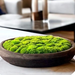 Extra Large Round Moss Bowl for Table Top Rustic Decor Preseved Moss ...