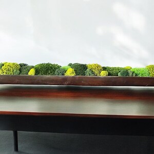Handcrafted Preserved Moss Art in Metal Trough for Dining Table Nature ...