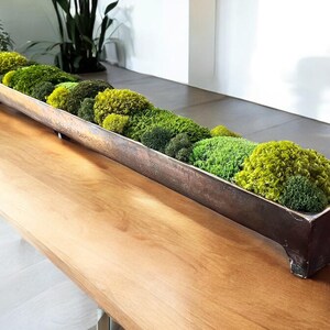 Handcrafted Preserved Moss Art in Metal Trough for Dining Table Nature ...