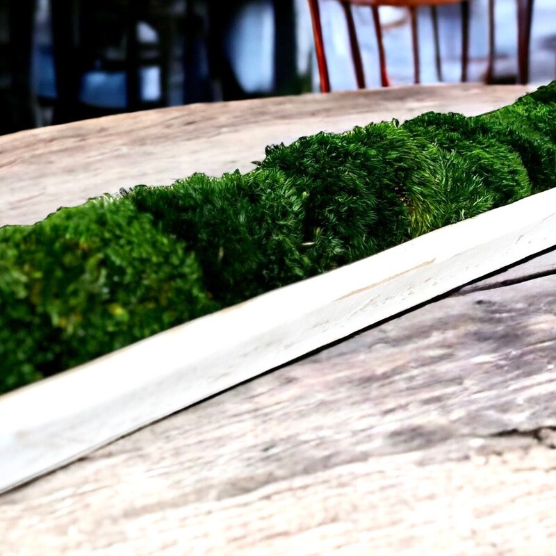 Dining Table Plant Centerpiece - Etsy