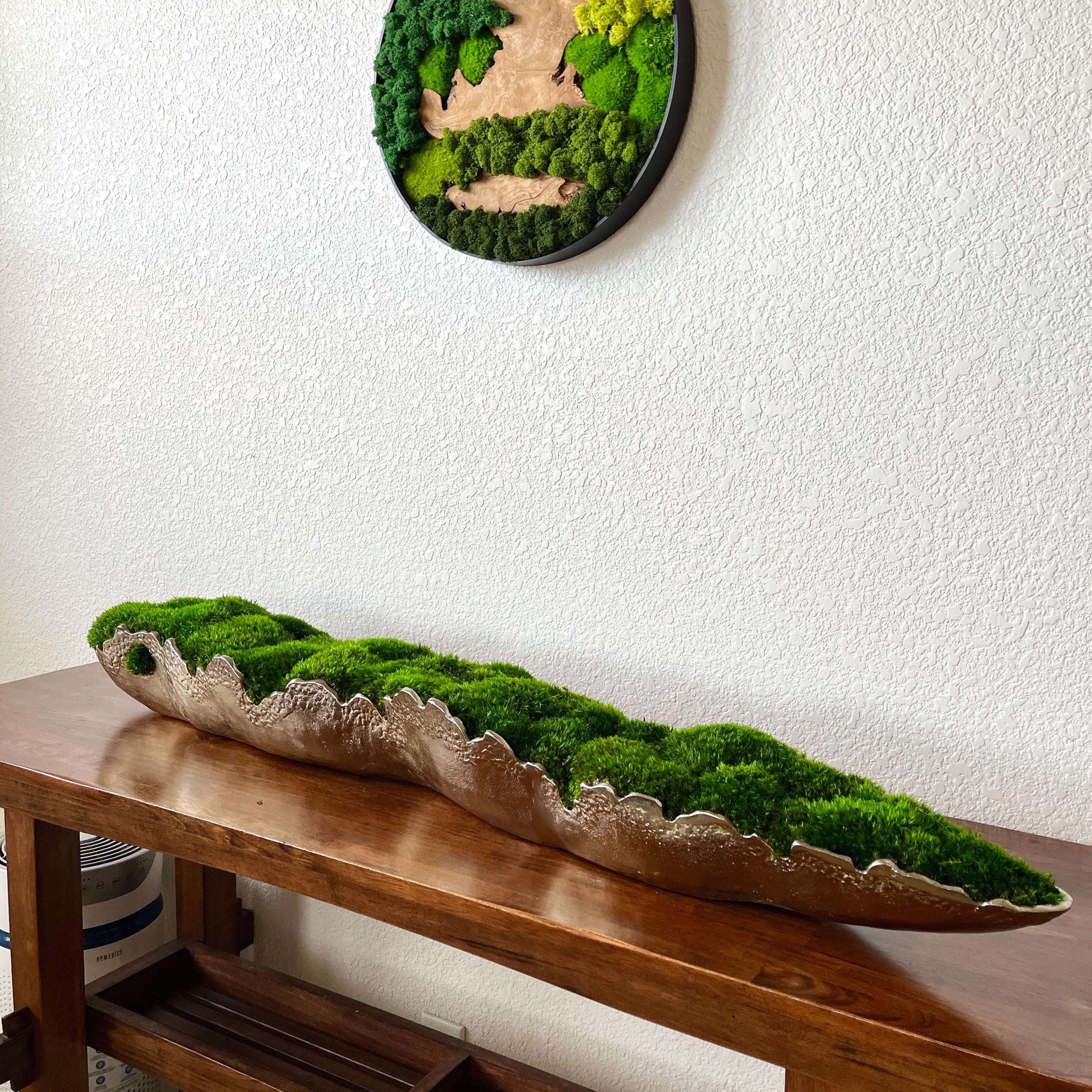 Preserved Moss Centerpiece Table Decoration Metal Vessel Gold Accent ...