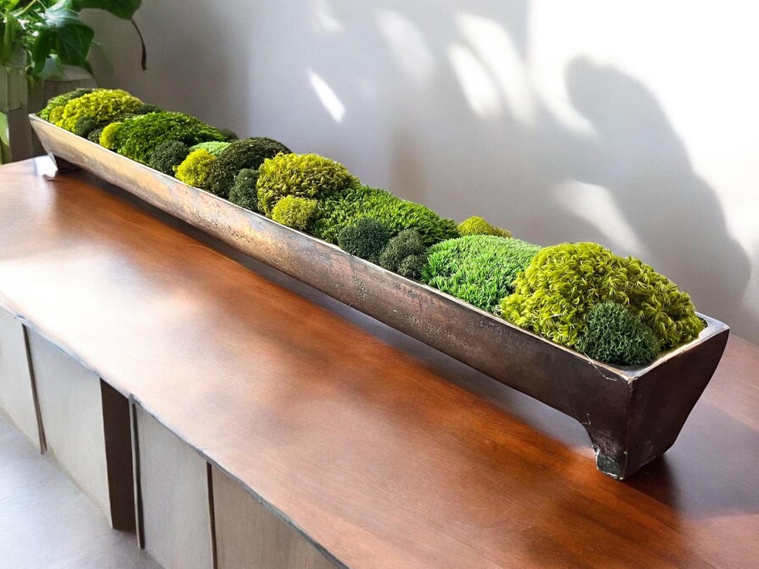 Handcrafted Preserved Moss Art in Metal Trough for Dining Table Nature ...