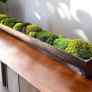 Handcrafted Preserved Moss Art in Metal Trough for Dining Table Nature ...