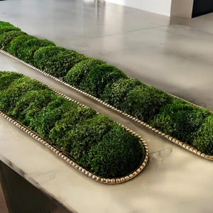 Preserved Moss Centerpiece Modern Table Decor Natural Home Metal Tray ...