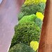 Handcrafted Preserved Moss Art in Metal Trough for Dining Table Nature ...
