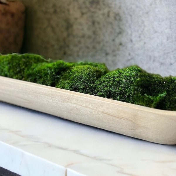 Moss Table Decor - Etsy