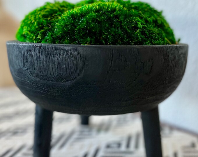 Nature Inspired Container Moss Display Home Accent Piece Decor Dining ...