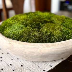 Extra Large Round Moss Bowl for Table Top Rustic Decor Preseved Moss ...