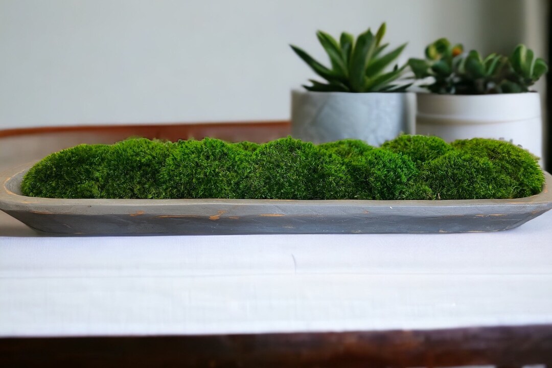 Extr Large Moss Centerpiece for Table Moss Nature Decor for Office ...