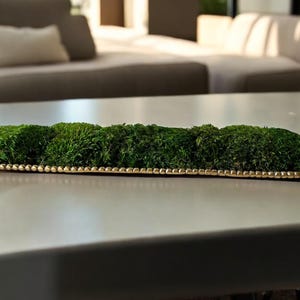 Preserved Moss Centerpiece Modern Table Decor Natural Home Metal Tray ...