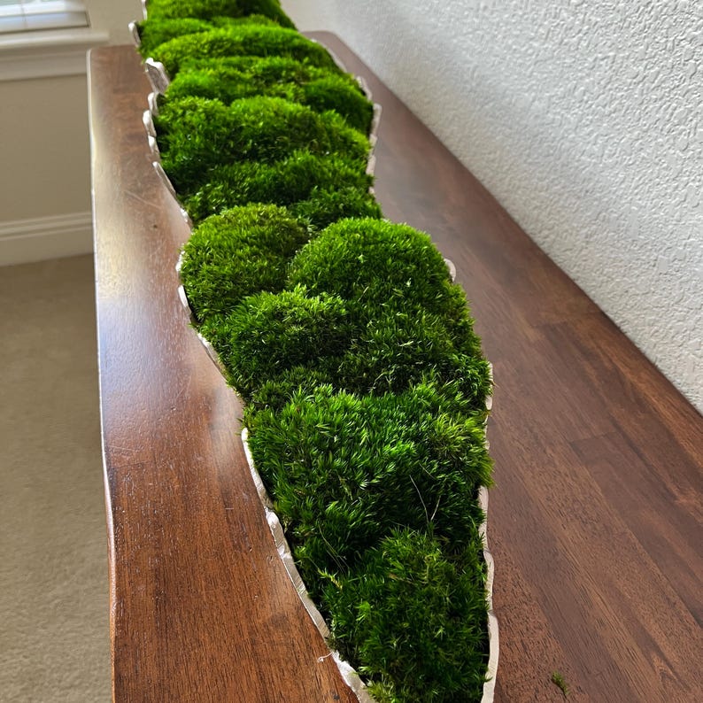Preserved Moss Centerpiece Table Decoration Metal Vessel Gold Accent ...