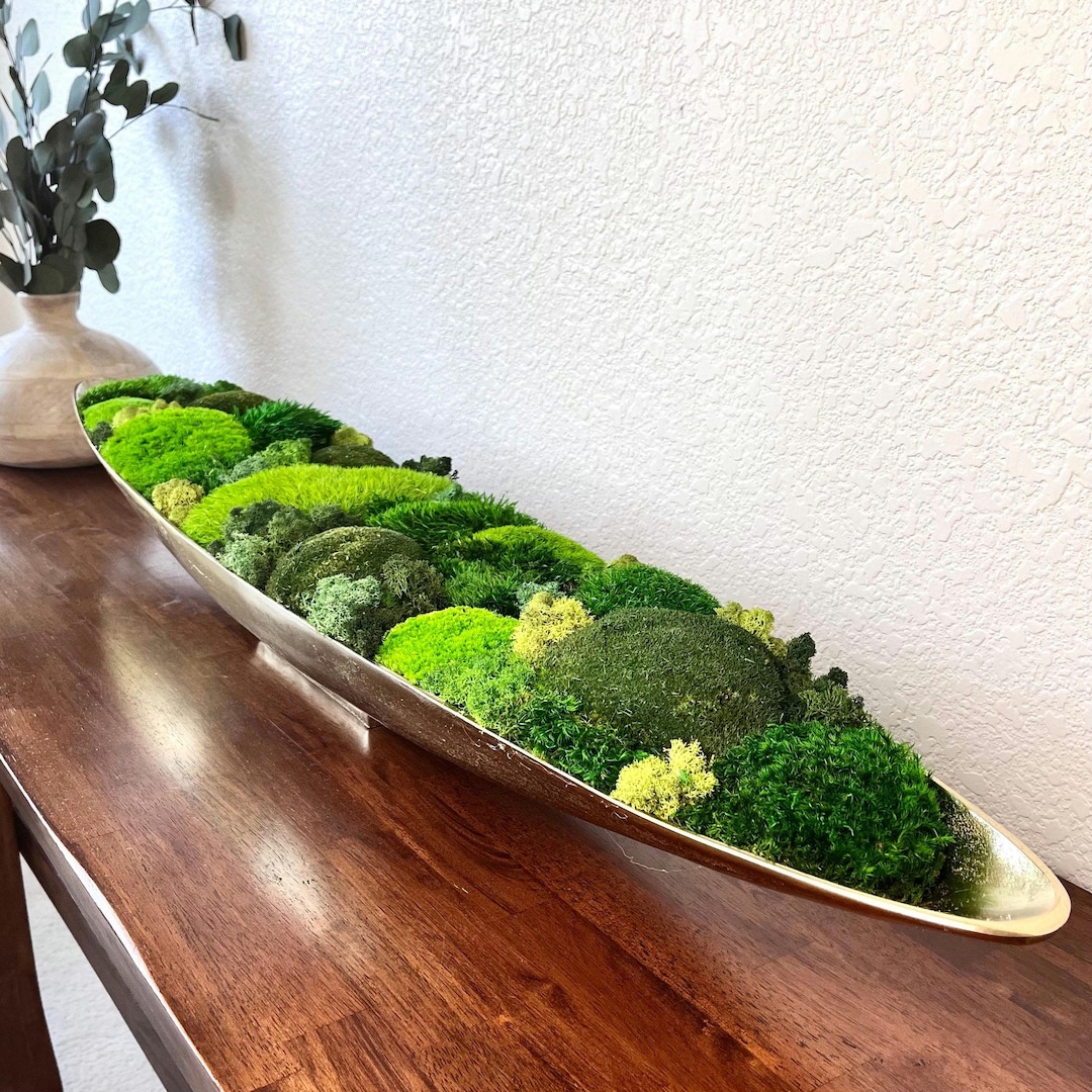 Moss Art in Gold Metal Boat Vase Biophilic Design With Preserved Moss ...