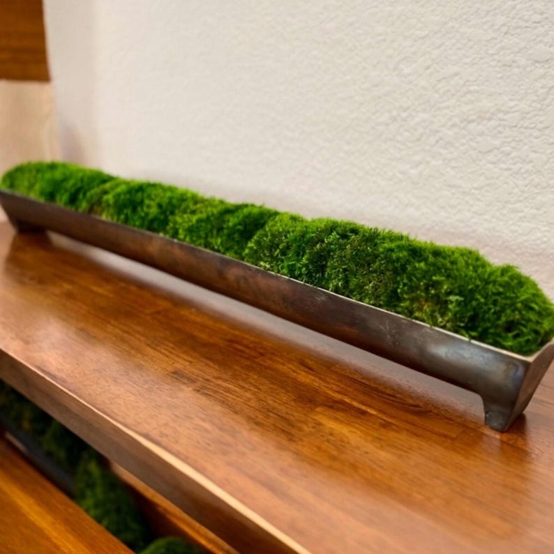 Preserved Moss Centerpiece Metal Trough Planter Table Decor Biophilic ...